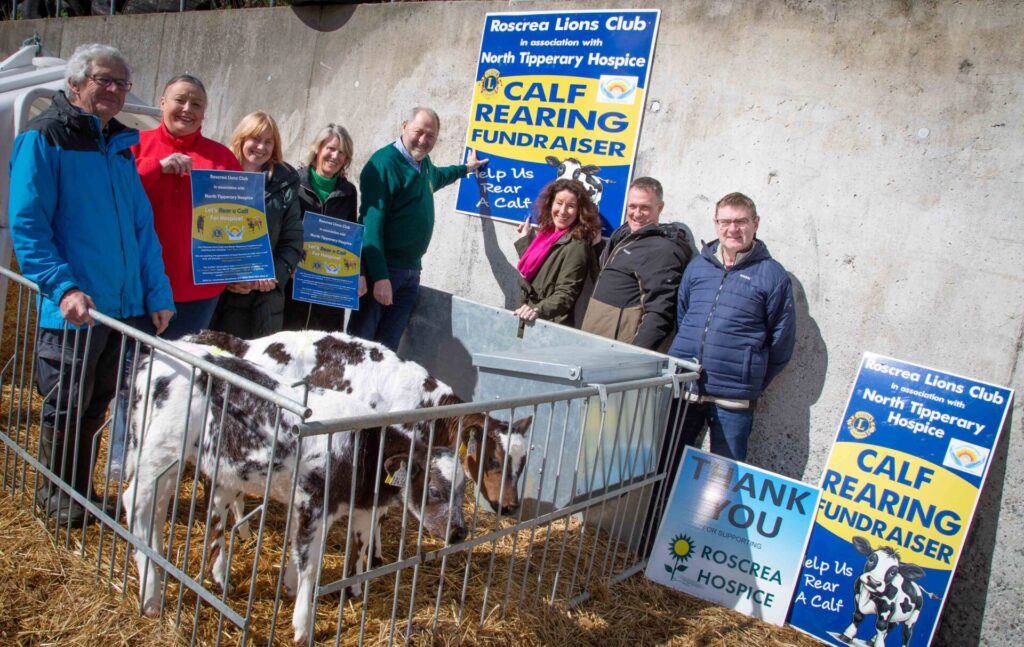 Rear a calf for North Tipp Hospice – Roscrea Lions Club